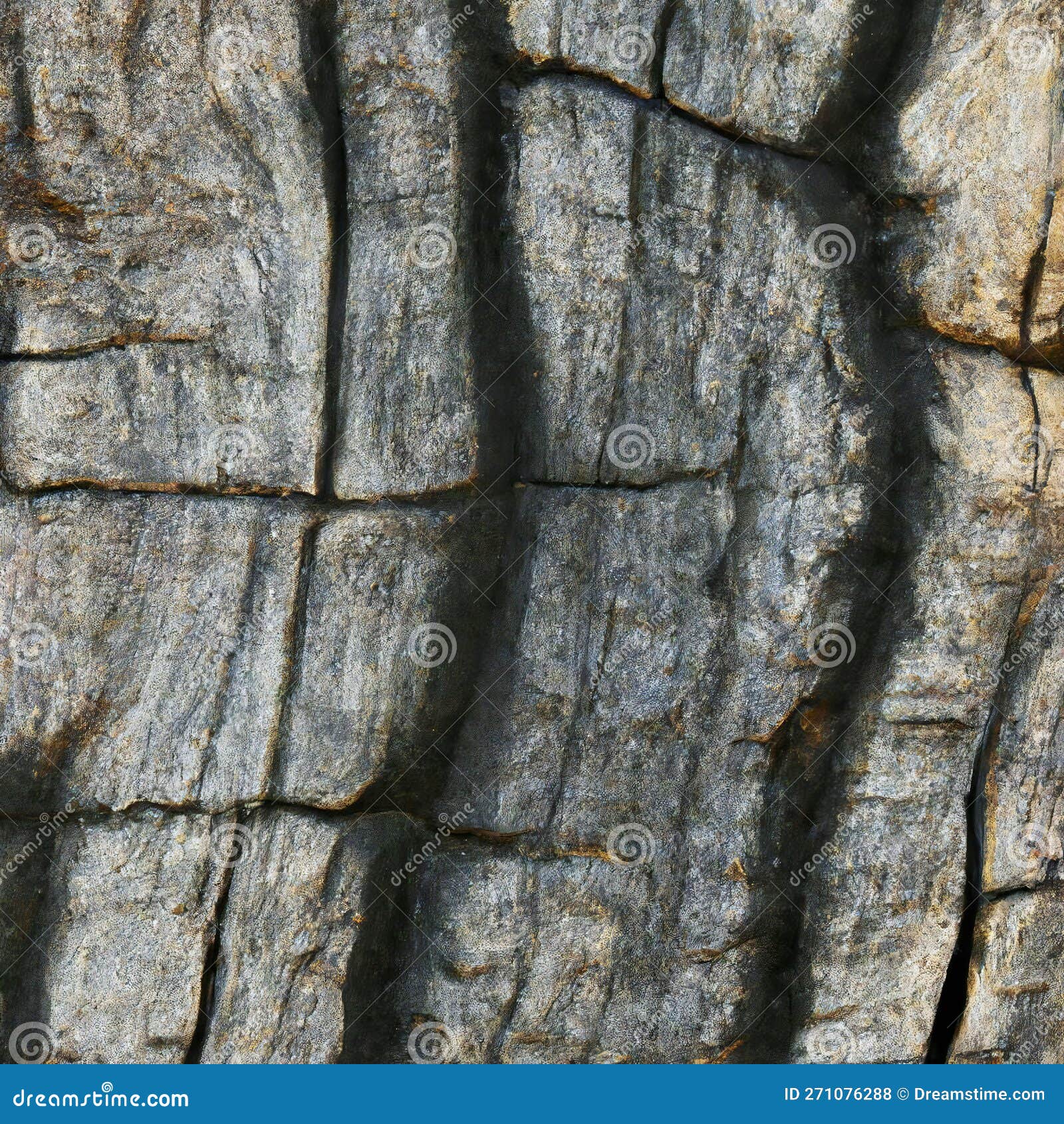 Texture Longitudinal Section of an Old Tree Stock Photo - Image of ...