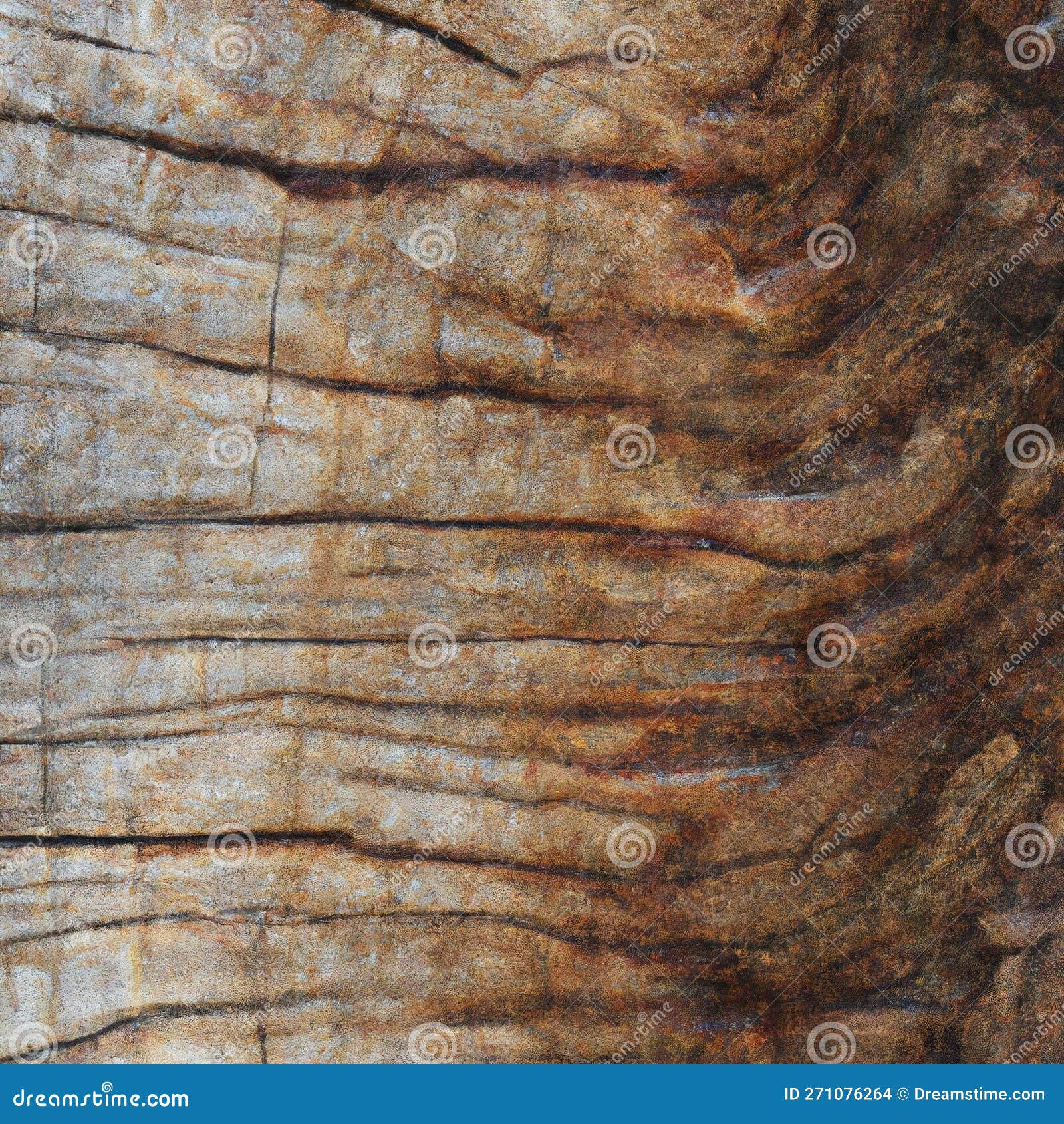 Texture Longitudinal Section of an Old Tree Stock Photo - Image of ...