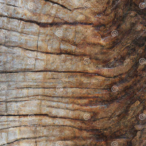Texture Longitudinal Section of an Old Tree Stock Photo - Image of ...