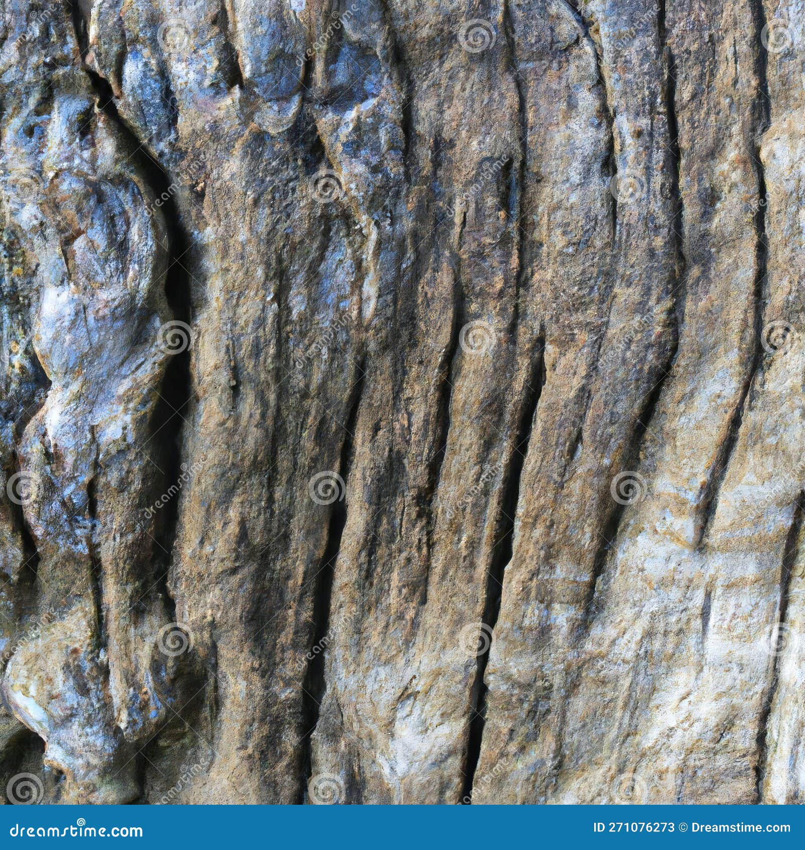 Texture Longitudinal Section of an Old Tree Stock Image - Image of ...