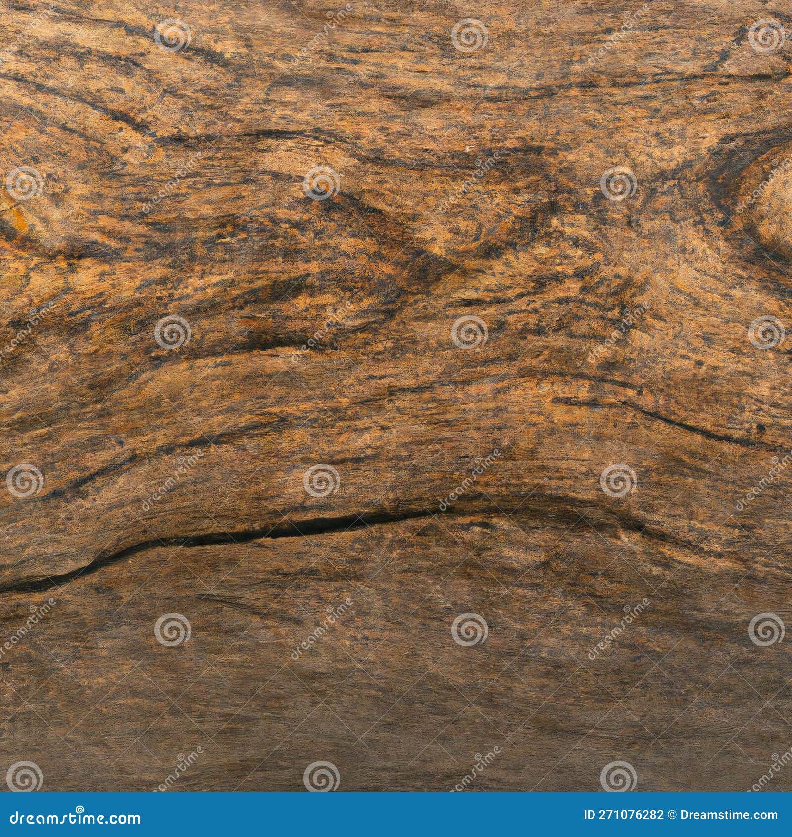 Texture Longitudinal Section of an Old Tree Stock Photo - Image of ...