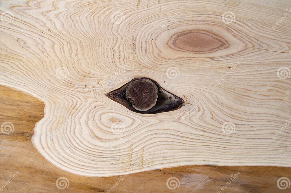 Texture of a Longitudinal Section of a Tree Trunk. Stock Image - Image ...