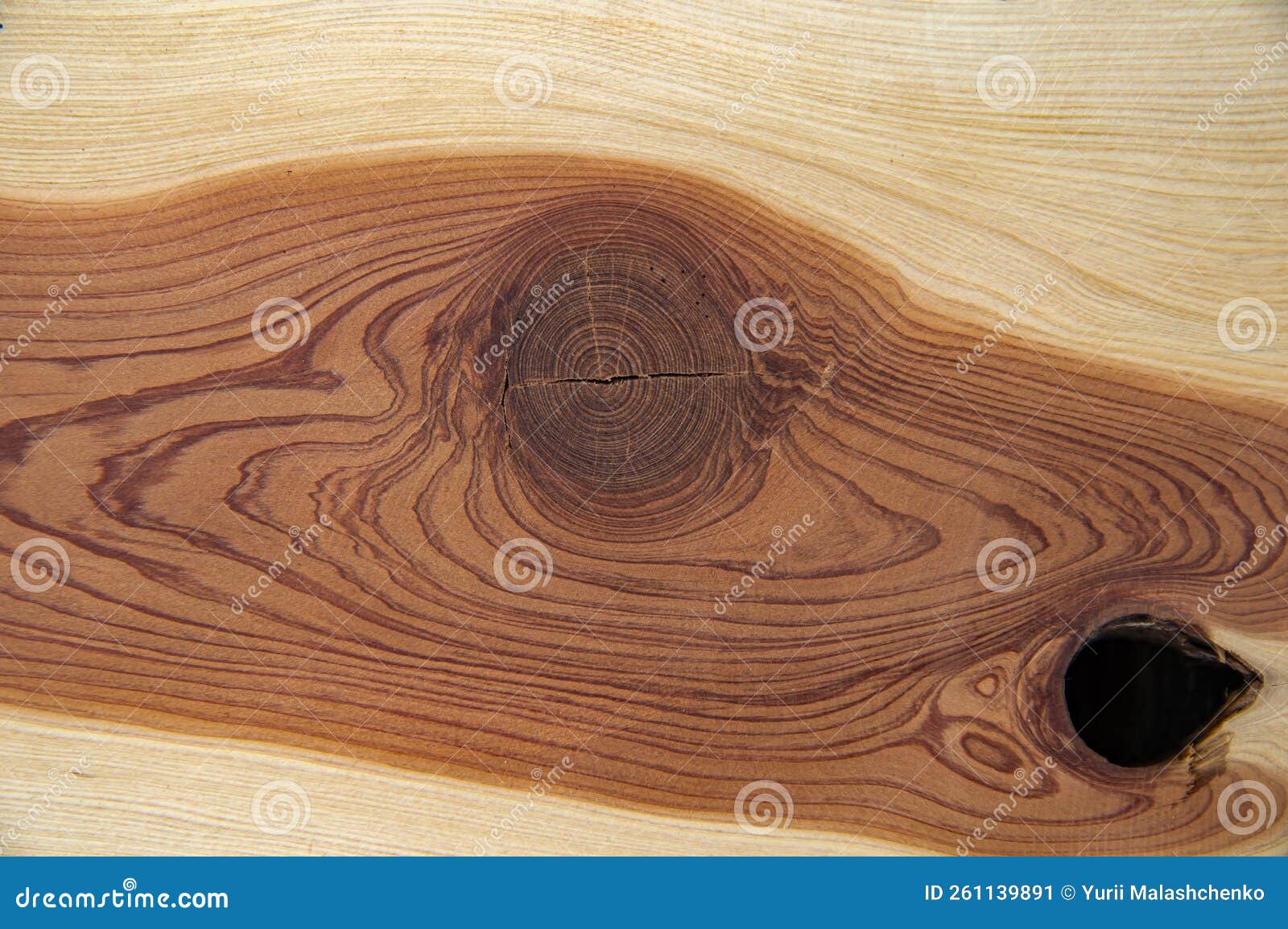 Texture of a Longitudinal Section of a Tree Trunk. Stock Image - Image ...