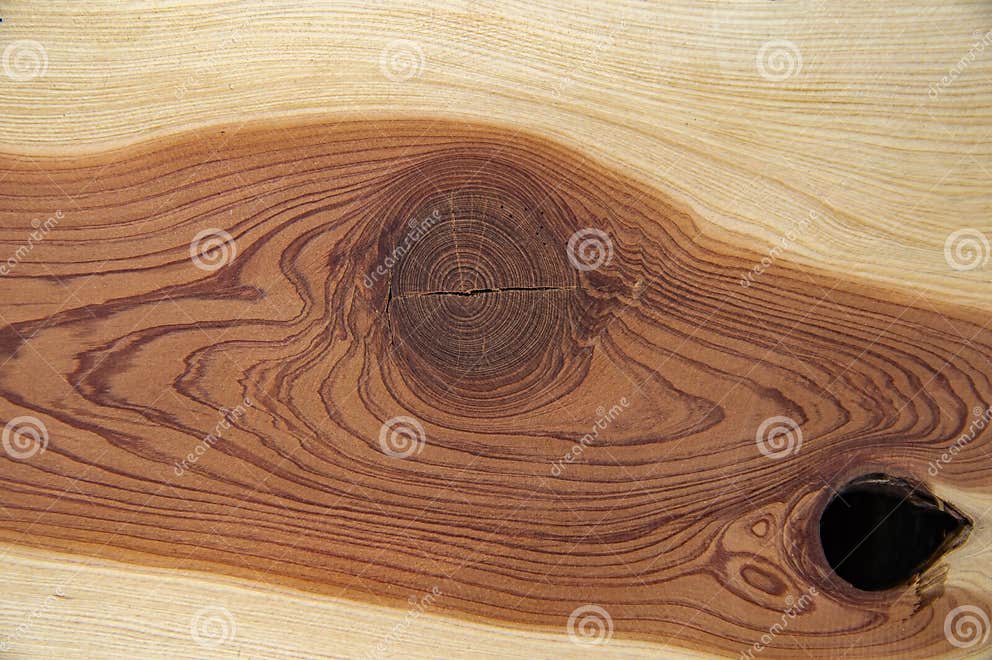Texture of a Longitudinal Section of a Tree Trunk. Stock Image - Image ...