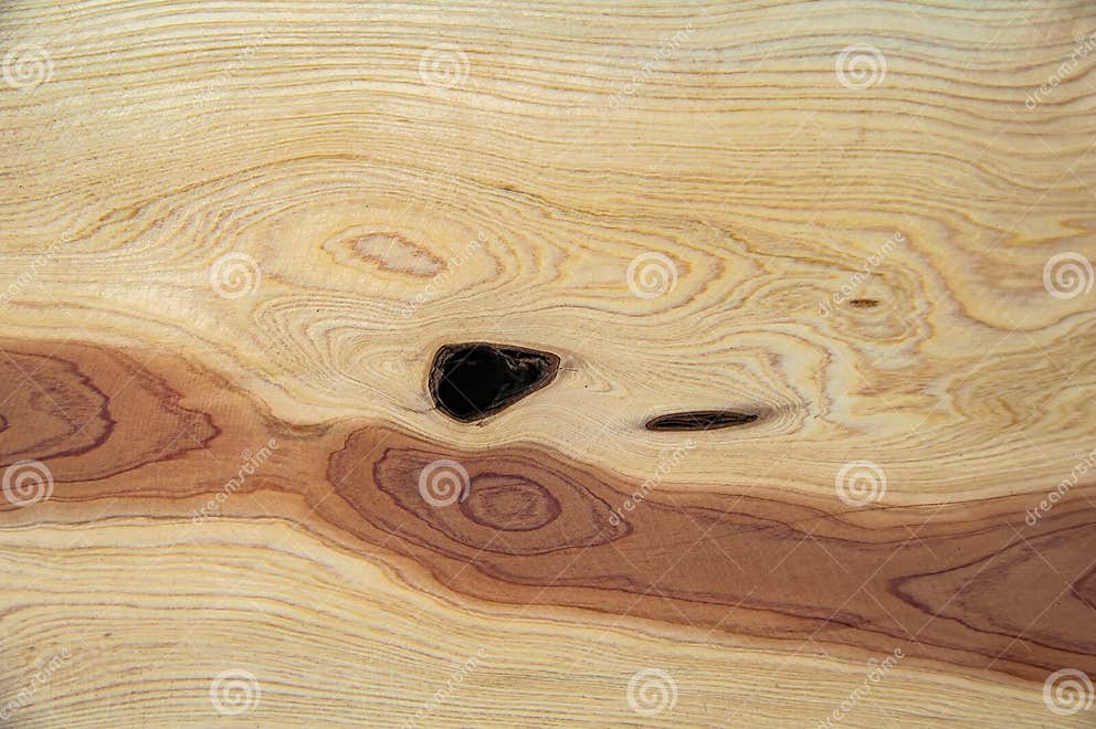 Texture of a Longitudinal Section of a Tree Trunk. Stock Photo - Image ...