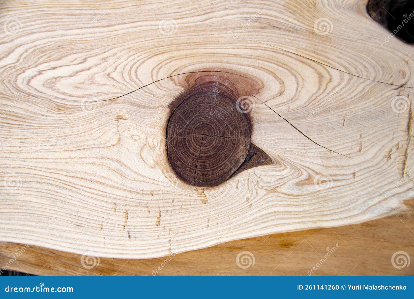 Texture of a Longitudinal Section of a Tree Trunk. Stock Photo - Image ...