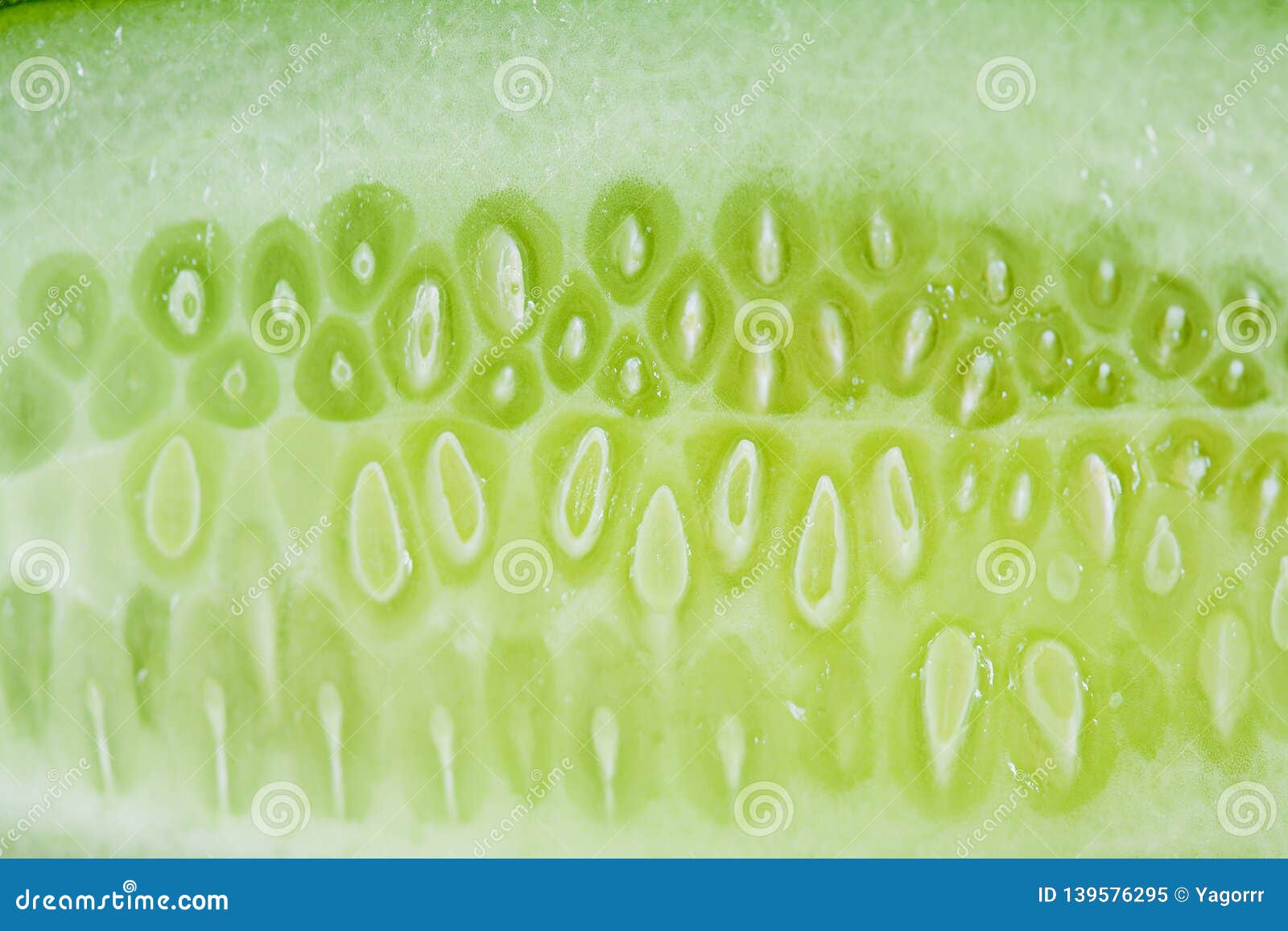 Texture of the Longitudinal Slice of Ripe Cucumber Stock Image - Image ...