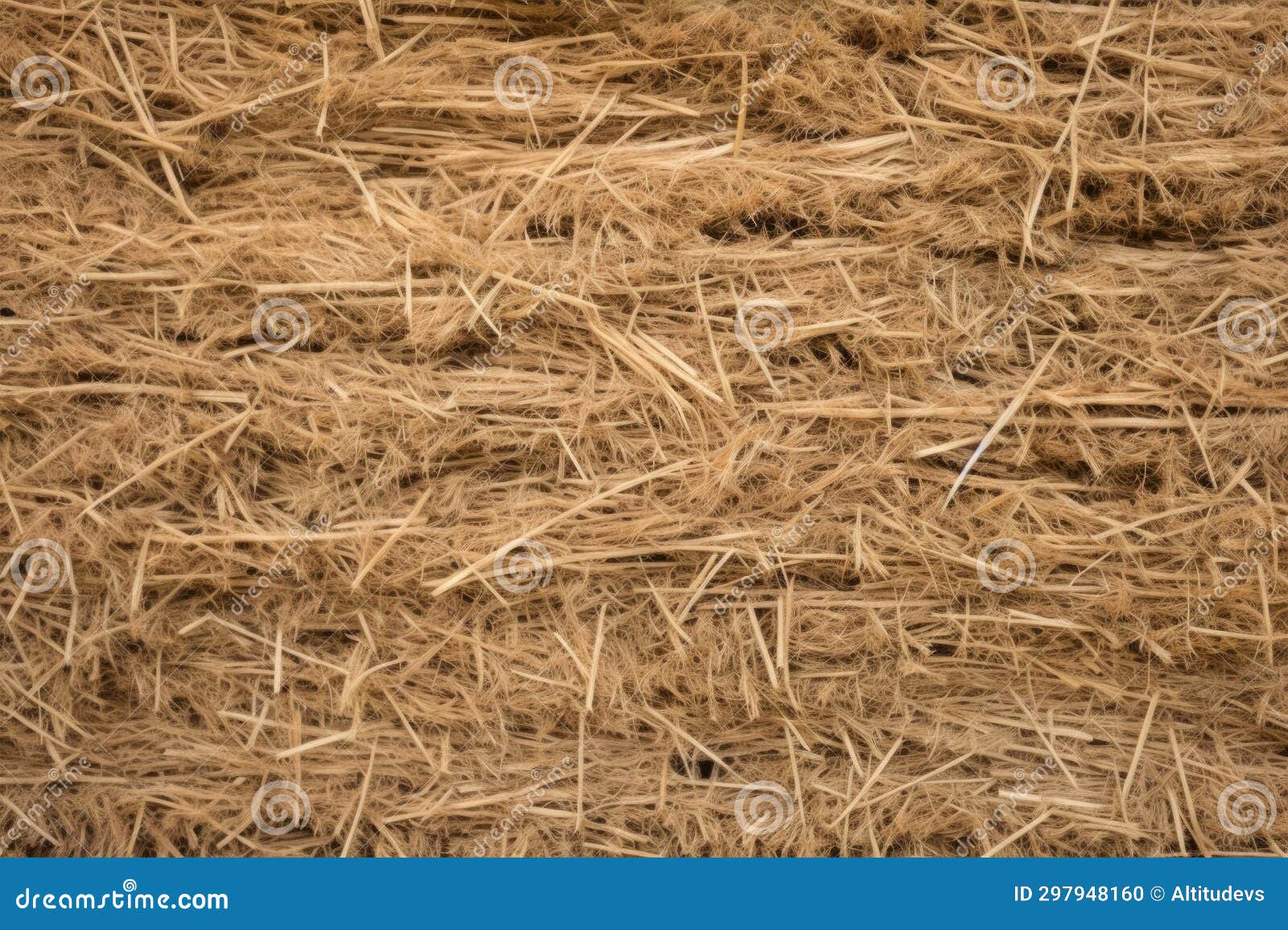 Texture of Loose, Fresh Hay from Close Range Stock Photo - Image of ...