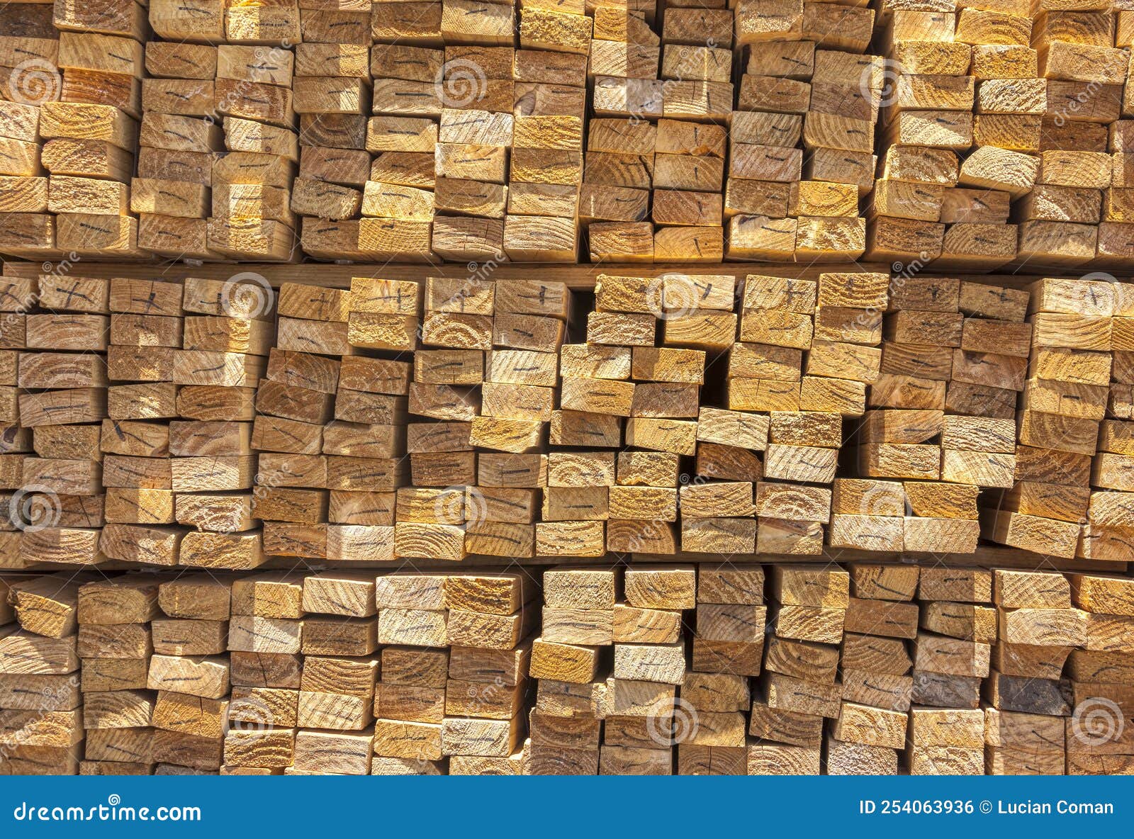 Texture lumber stock photo. Image of square, lumber - 254063936