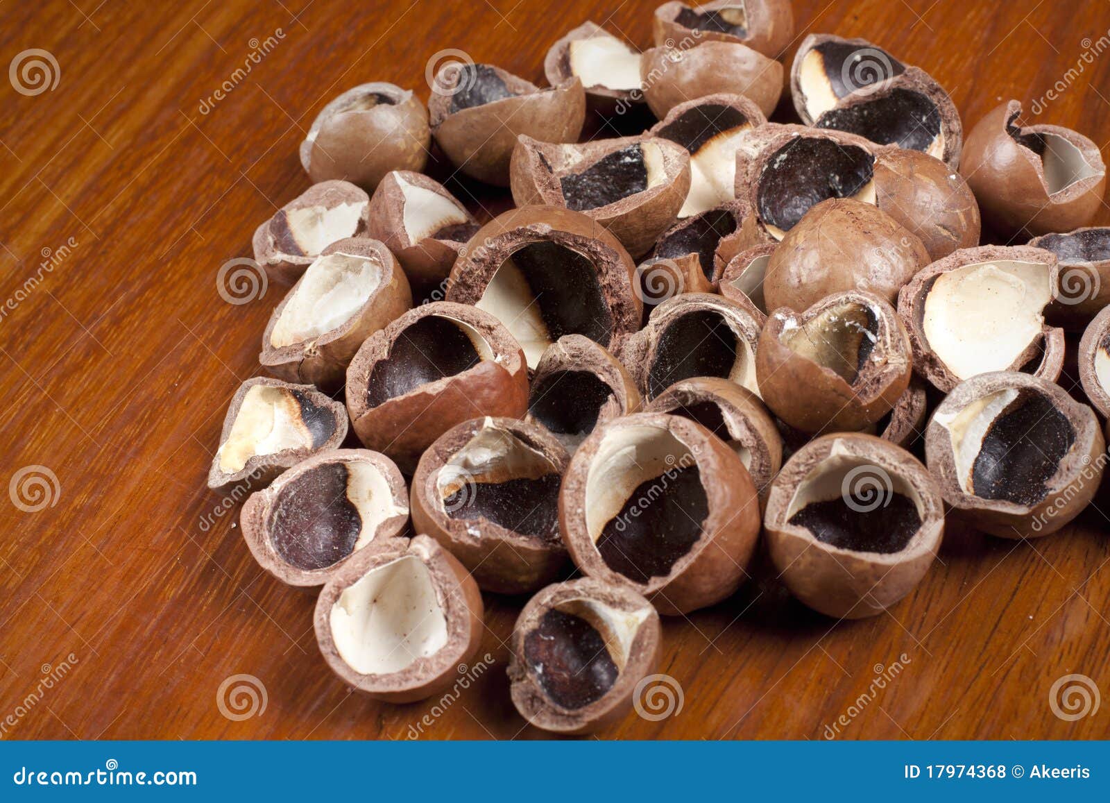 Texture of macadamia shell stock photo. Image of wallpaper - 17974368