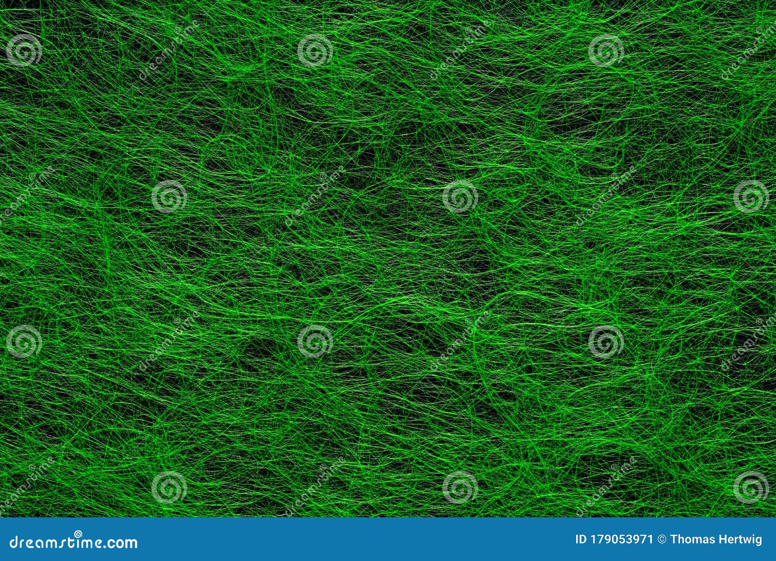 Texture Made of Fine Green Threads Stock Image - Image of plant, nature ...