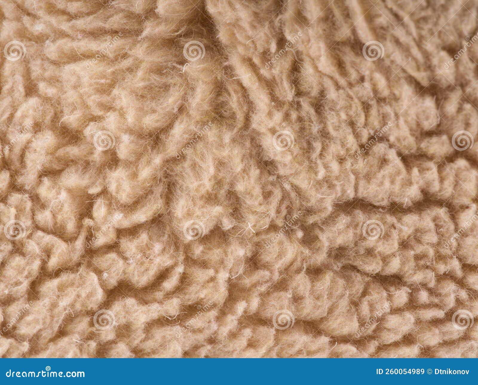The Texture is Made of Natural Wool. Closeup Stock Image - Image of ...