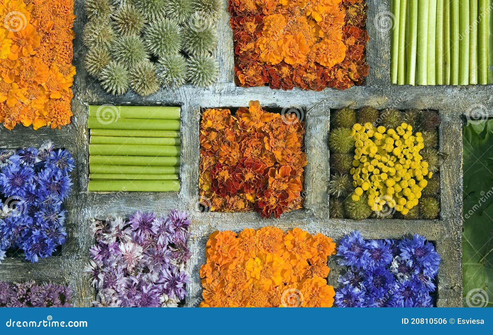 Texture of Many Different Flowers in Blocks Stock Photo - Image of ...