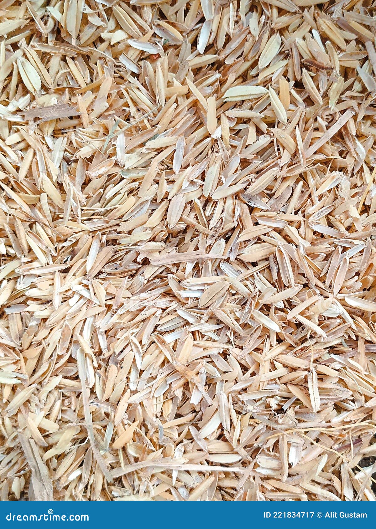 Texture of many husk stock image. Image of flower, soft - 221834717