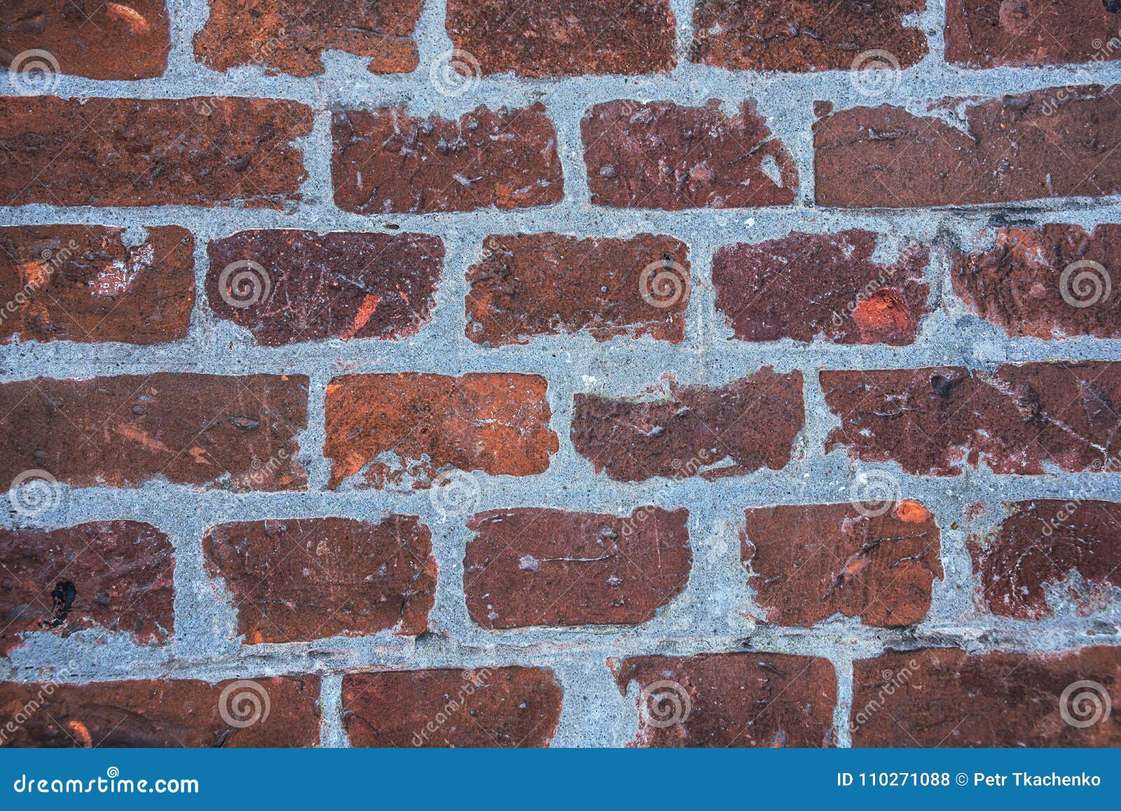 Maroon texture brick stock photo. Image of obsolete - 110271088