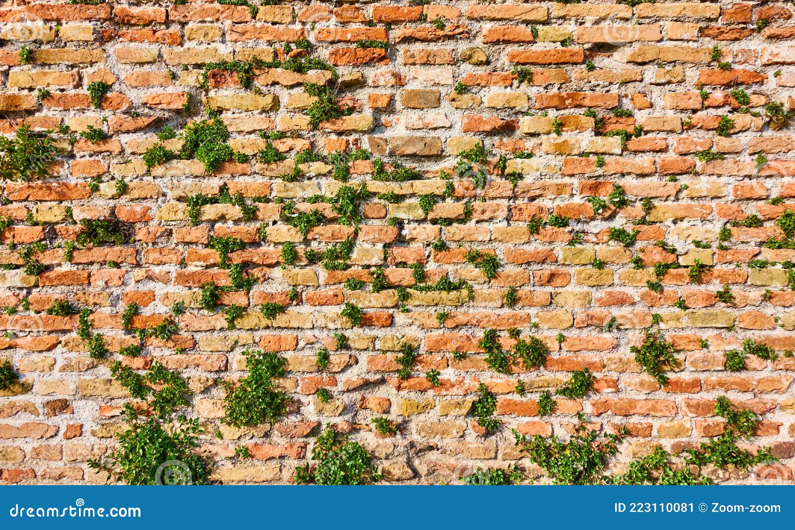 Texture of Medieval Masonry Stock Image - Image of rustic, brick: 223110081