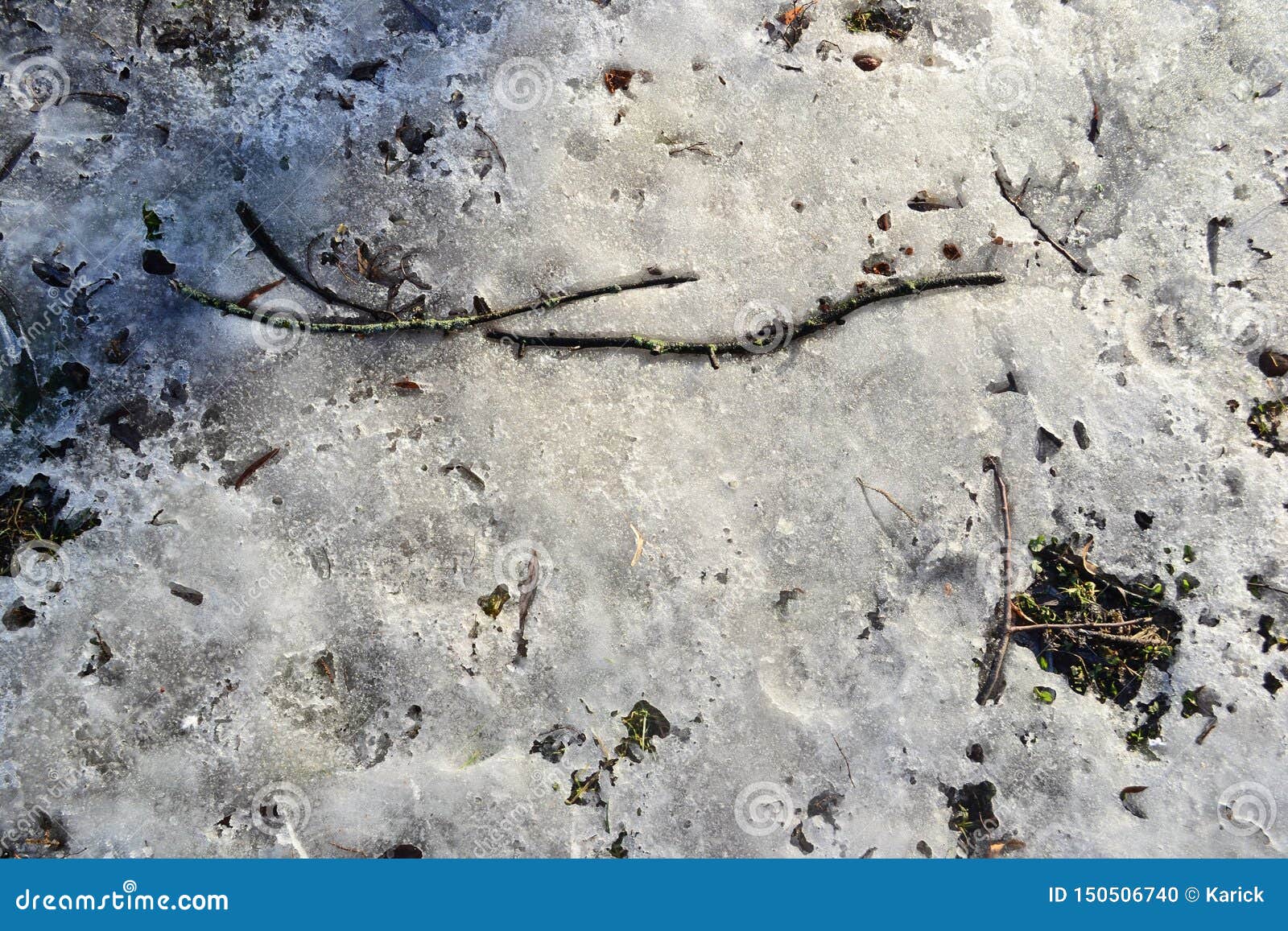 Texture of Melting Snow on a Grass Stock Photo - Image of environment ...