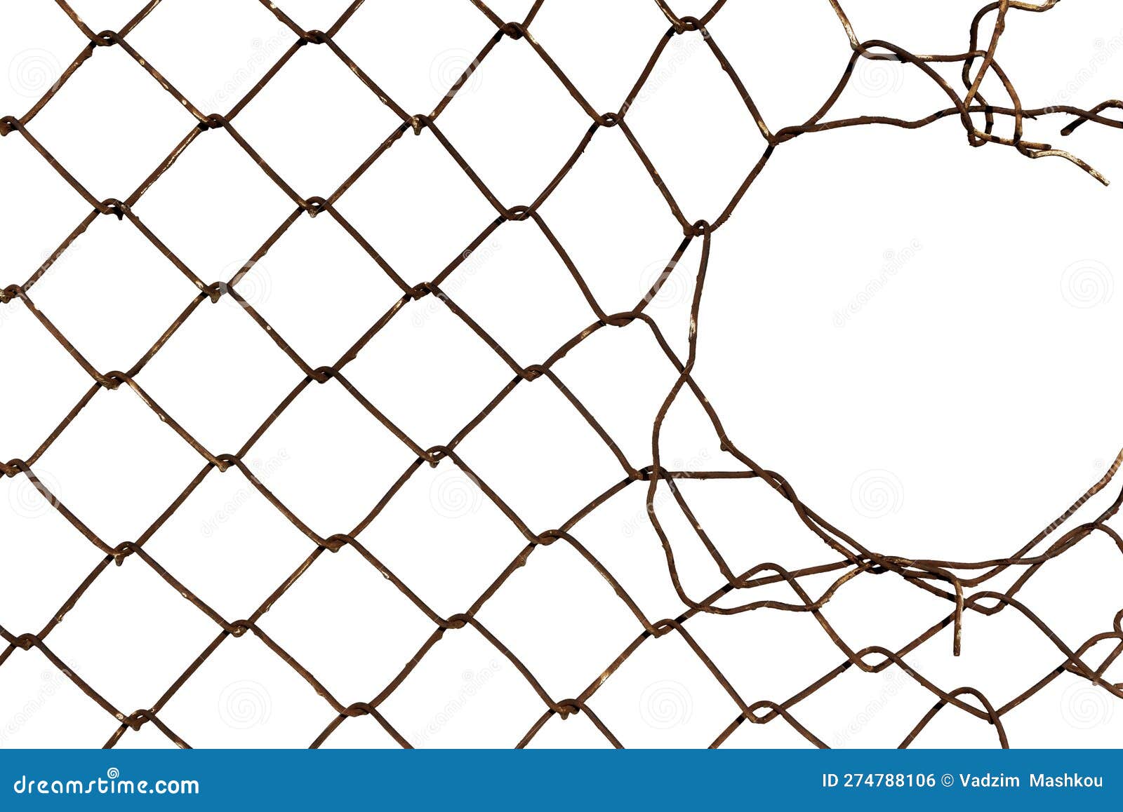 The Texture of the Metal Mesh on a White Background. Torn Steel, Metal ...