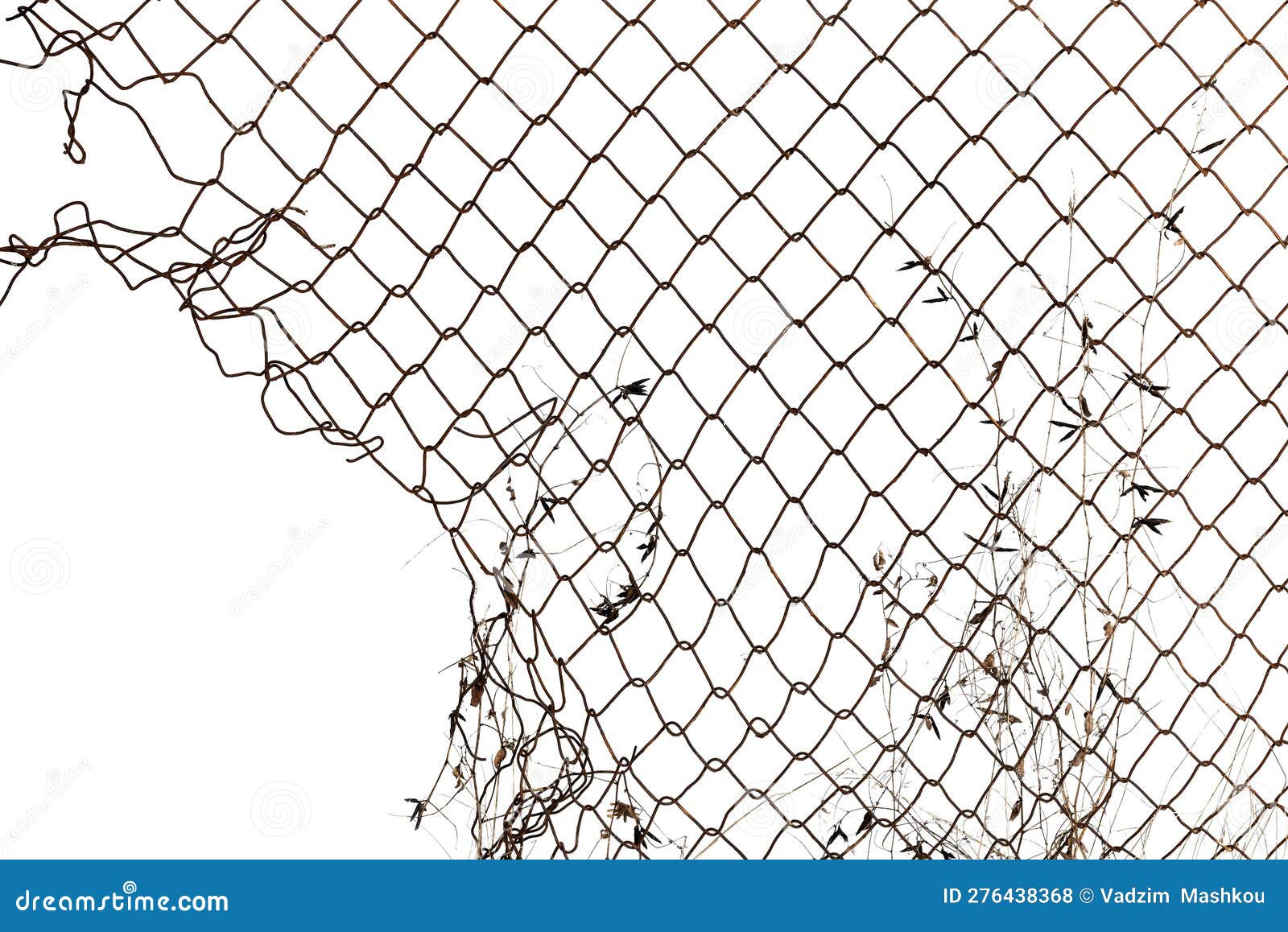 The Texture of the Metal Mesh on a White Background. Torn Steel, Metal ...