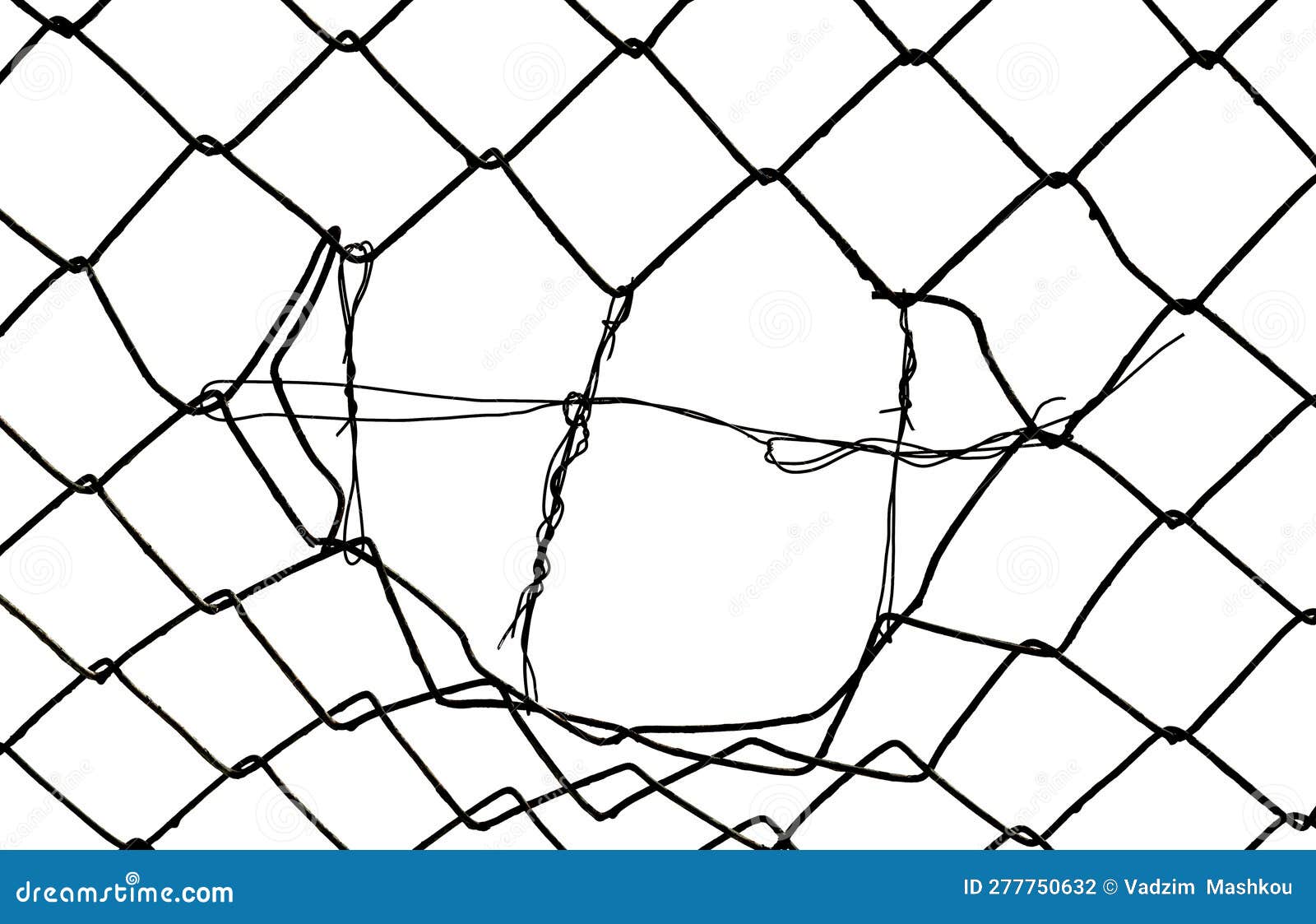 The Texture of the Metal Mesh on a White Background. Torn Steel, Metal ...