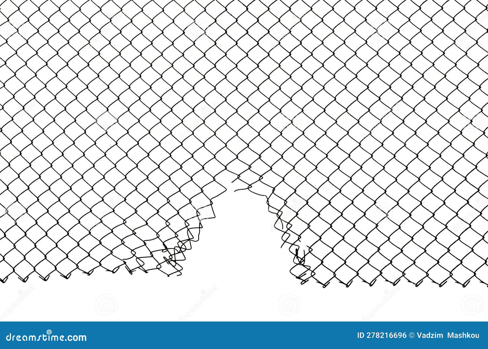 The Texture of the Metal Mesh on a White Background. Torn Steel, Metal ...