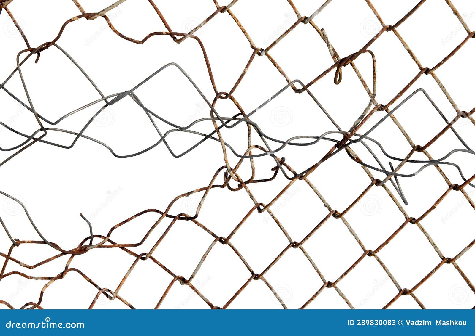 The Texture of the Metal Mesh on a White Background. Torn Steel, Metal ...