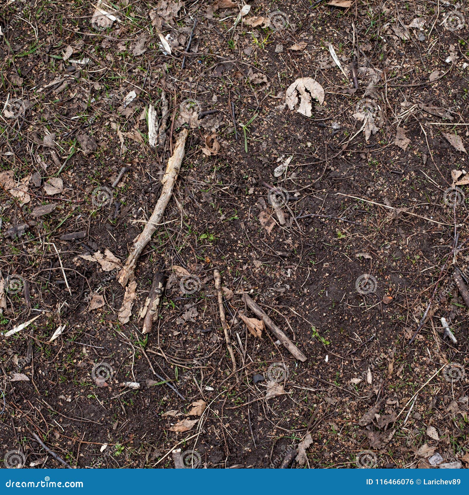 2,016 Spring Mud Puddles Stock Photos - Free & Royalty-Free Stock ...