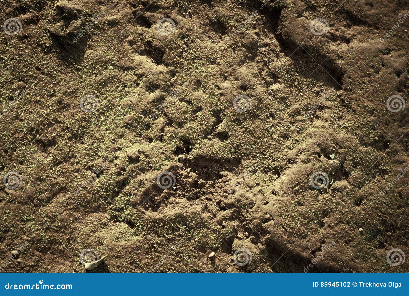 Texture of Moss Broken Brown Earth Surface Stock Photo - Image of ...
