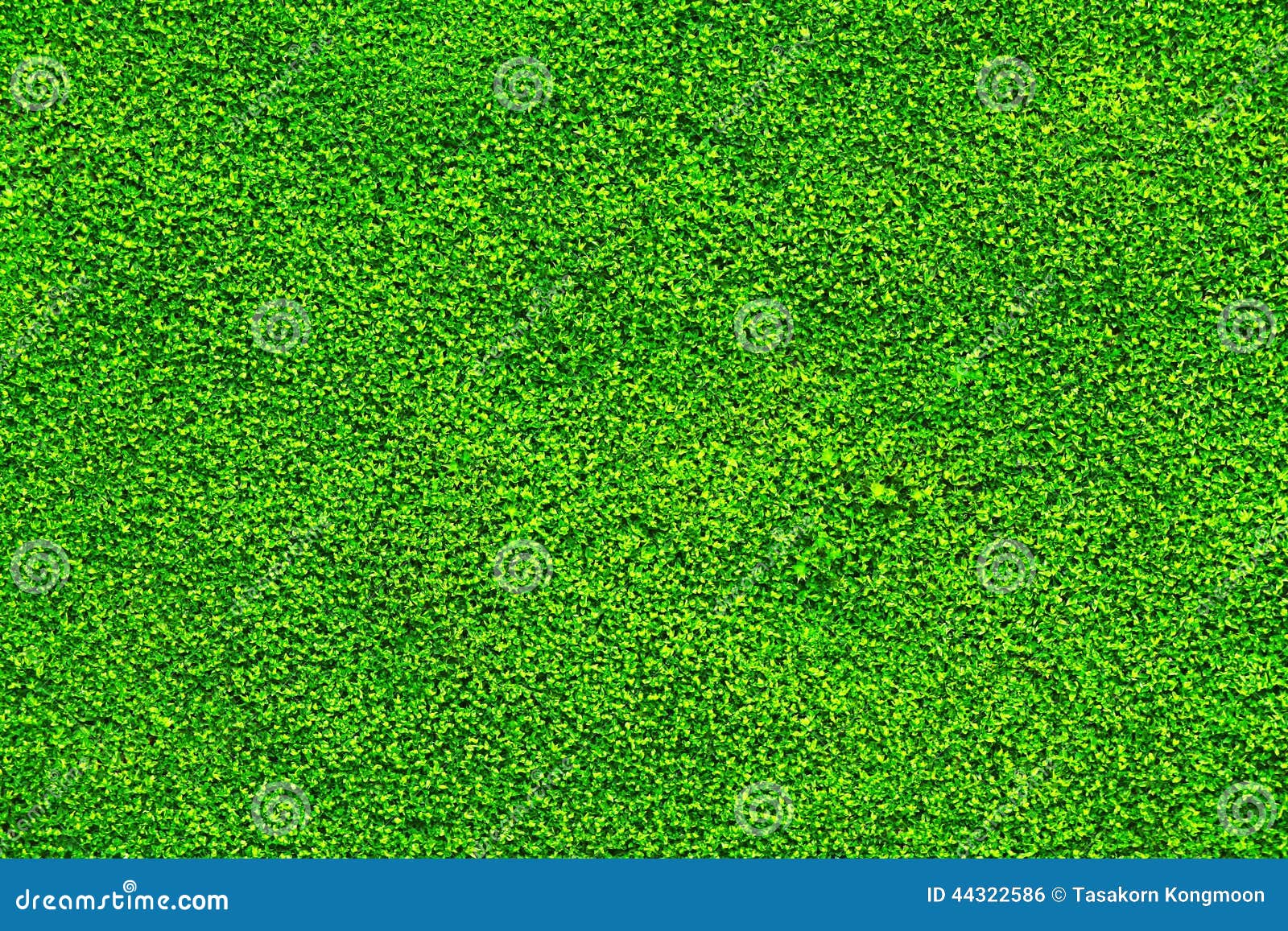 Texture Of Moss For Pattern And Background Royalty-Free Stock Image ...