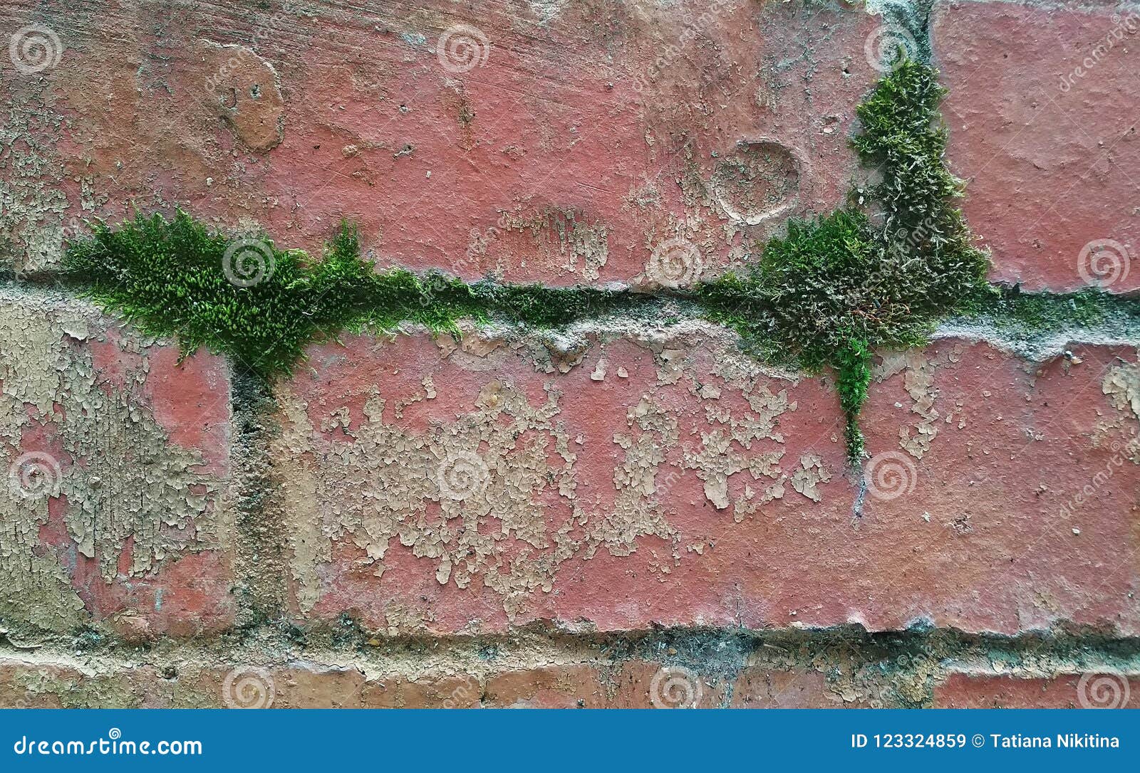The Texture of a Mossy, Shabby Brick Wall Stock Image - Image of clay ...
