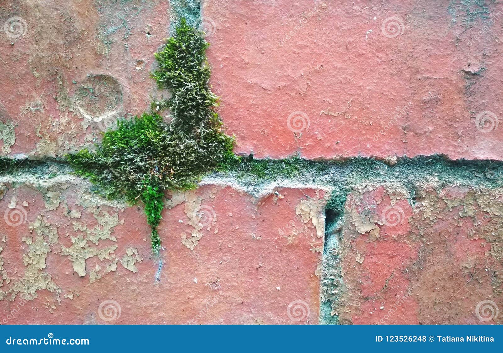 The Texture of a Mossy, Shabby Brick Wall Stock Photo - Image of clay ...