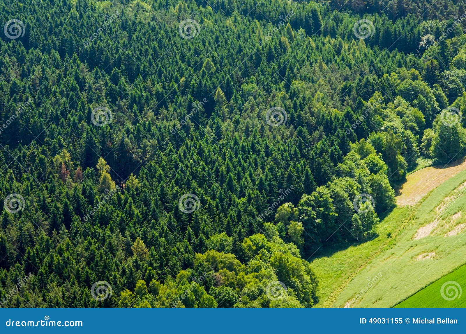 Texture of Mostly Coniferous Forest in an Aerial View Stock Image ...