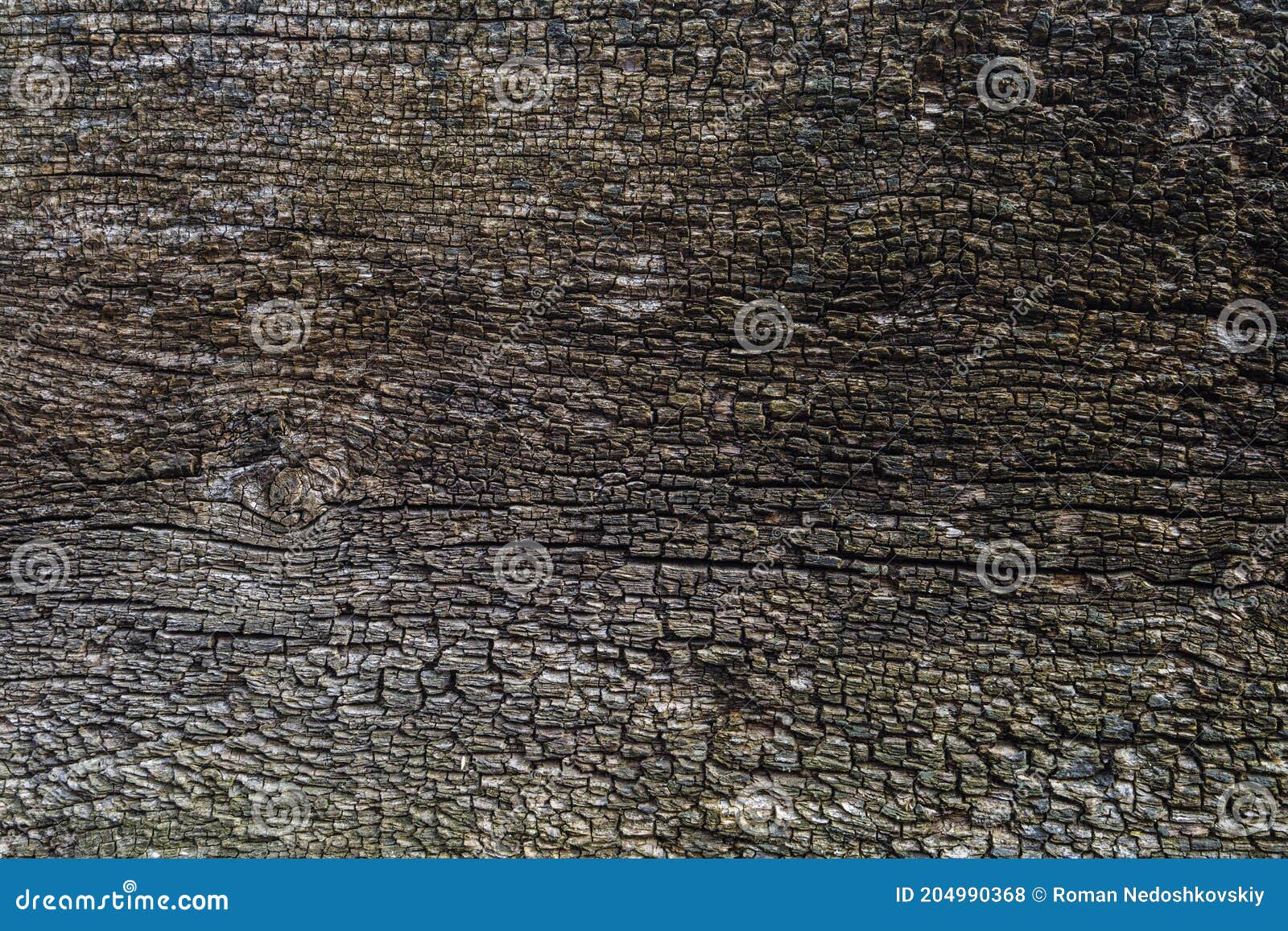 Texture of the Mouldering and Cracked Flat Surface of Old Wood Stock ...