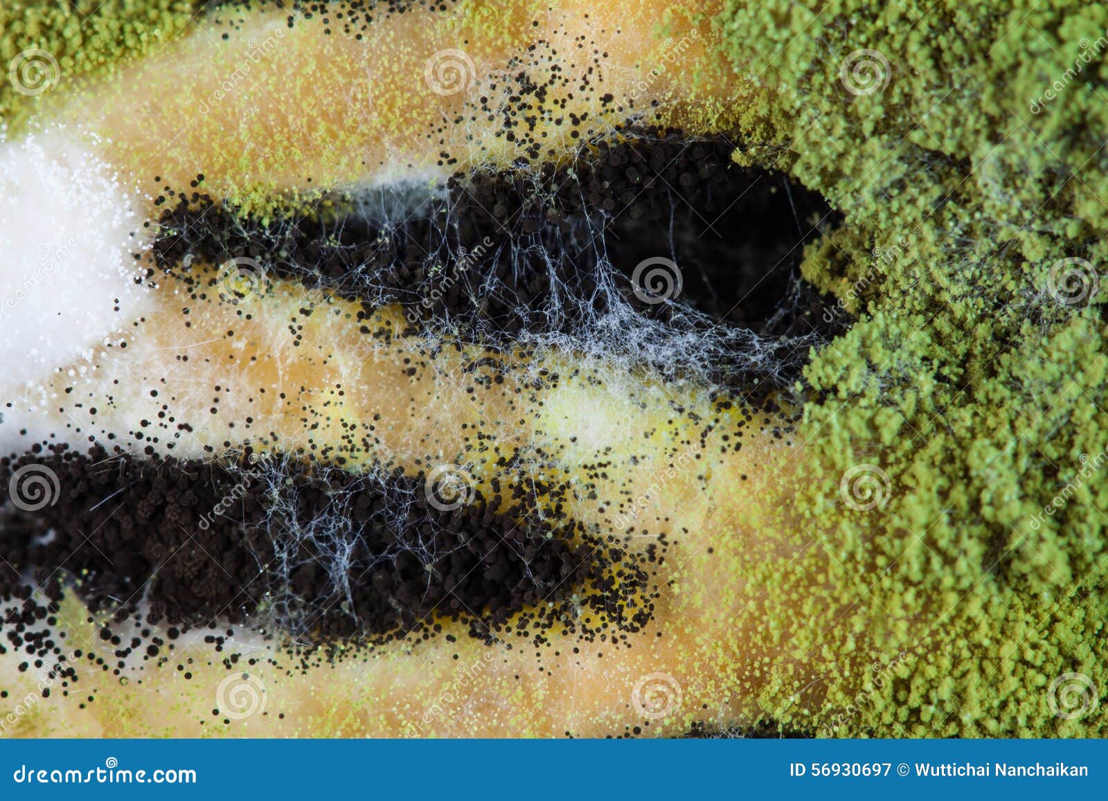 Texture of mouldy on pie stock image. Image of crispy - 56930697