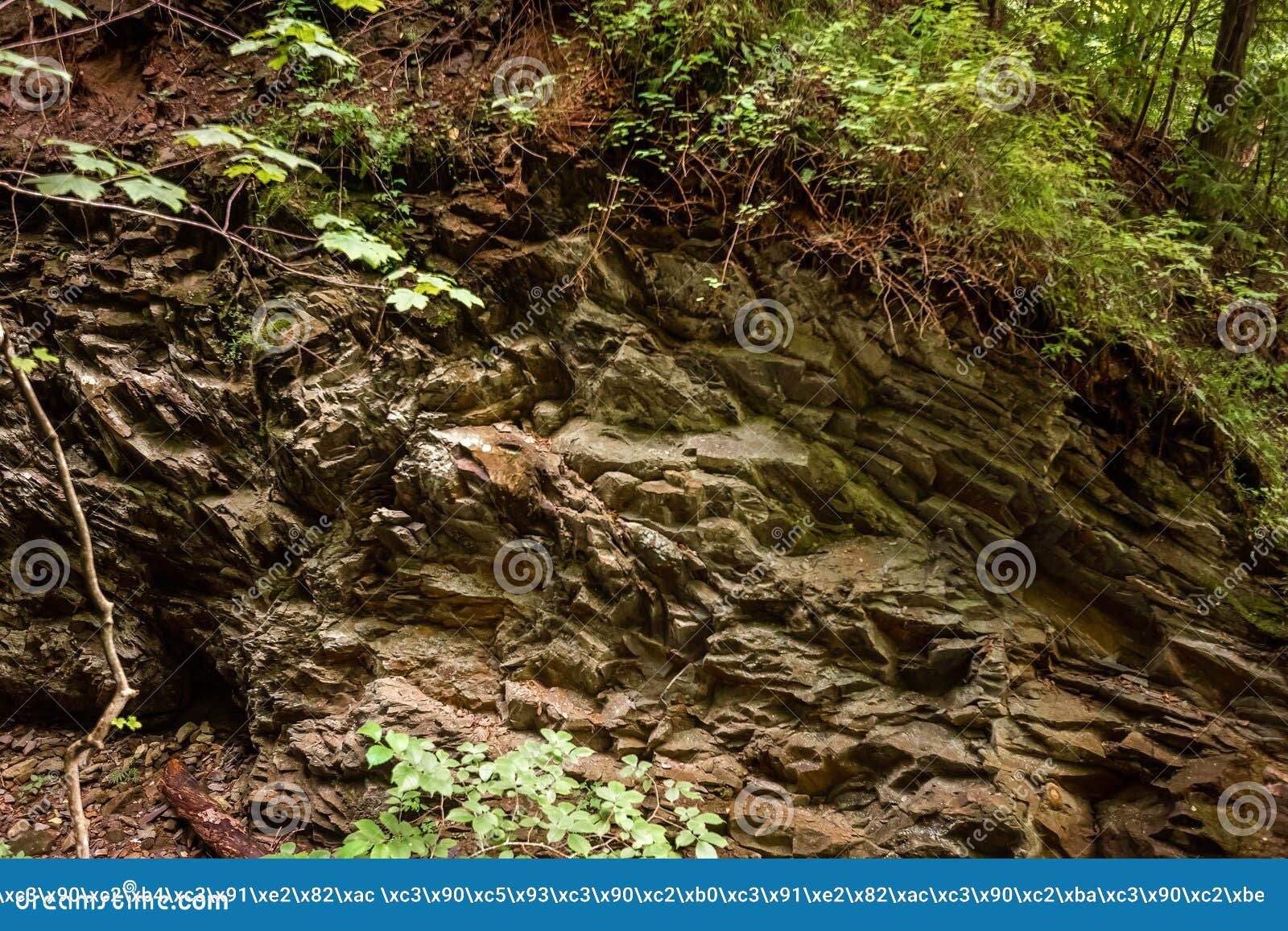 Texture Mountainside Close-up. Natural Background of Rocky Wall with ...