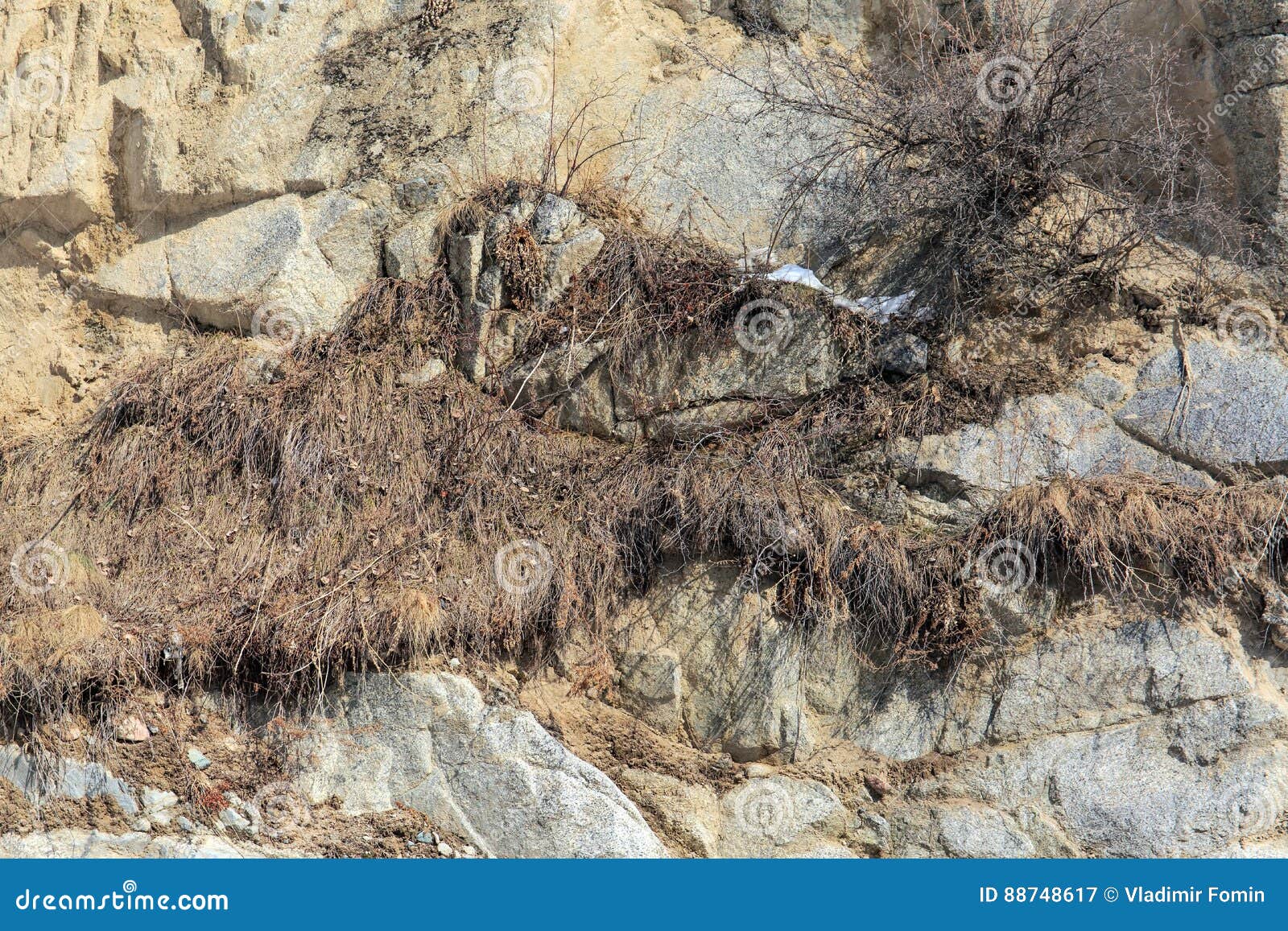 The Texture of the Mountainside. Stock Image - Image of leave, lies ...