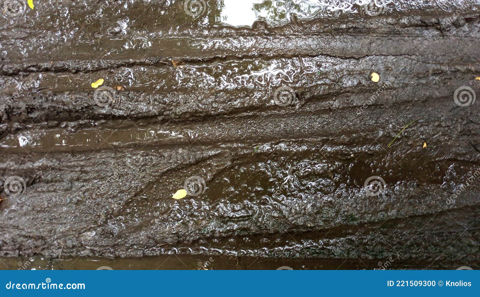 The Texture of the Mud in a Dried Puddle. Stock Photo - Image of ...