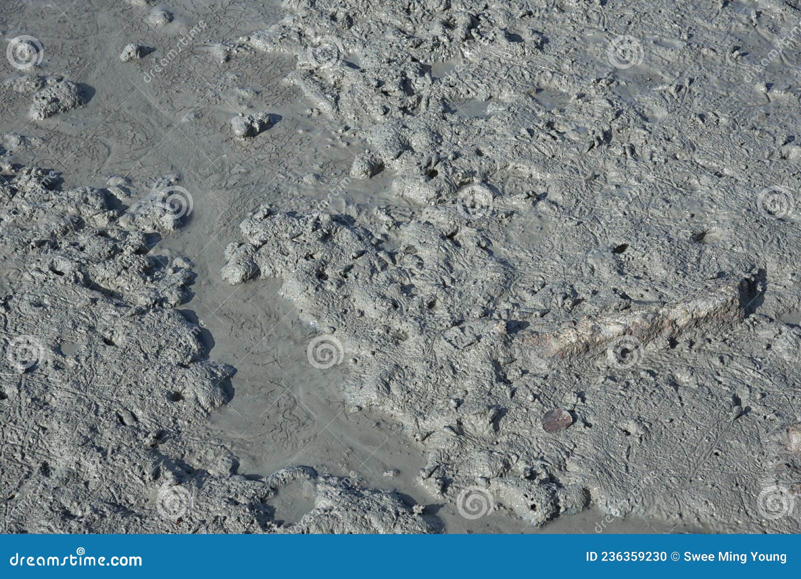 Texture Of The Muddy Swamp Surface Royalty-Free Stock Image ...