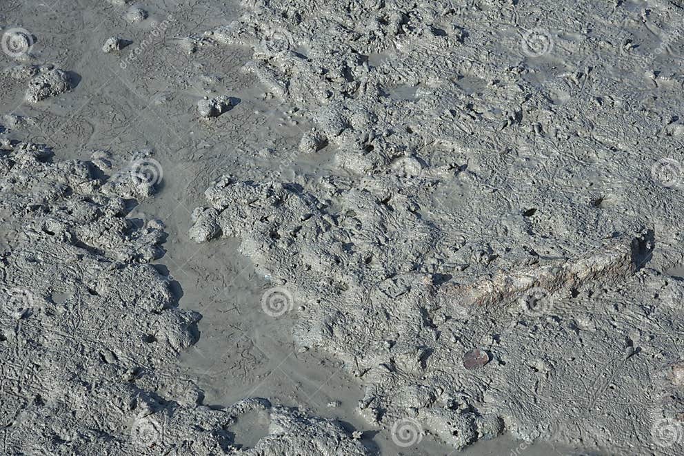 Texture of the Muddy Swamp Surface Stock Photo - Image of contaminate ...