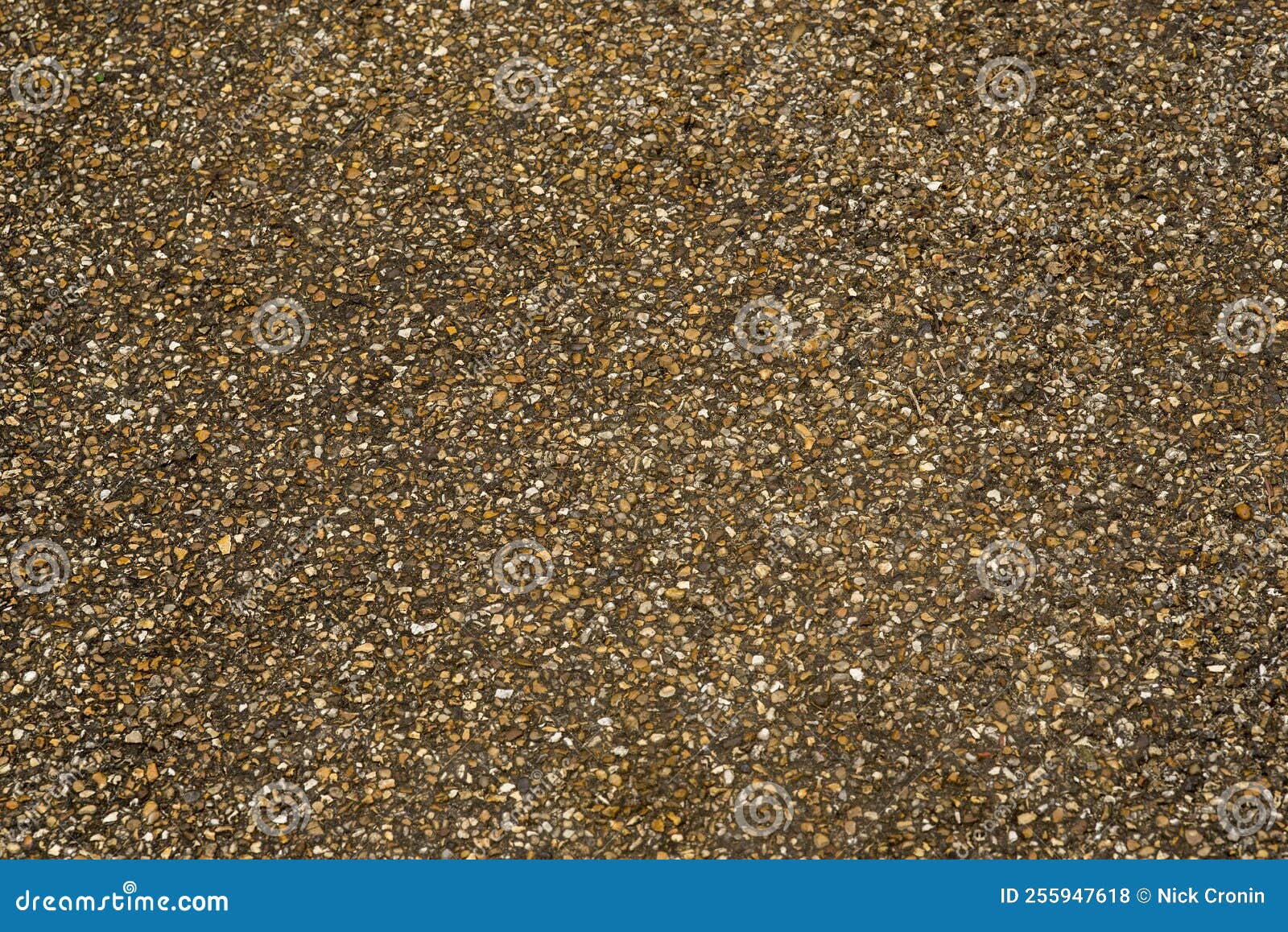 Texture: Multi Colored Shingle / Tiny Pebbles Rocks / Aggregate ...