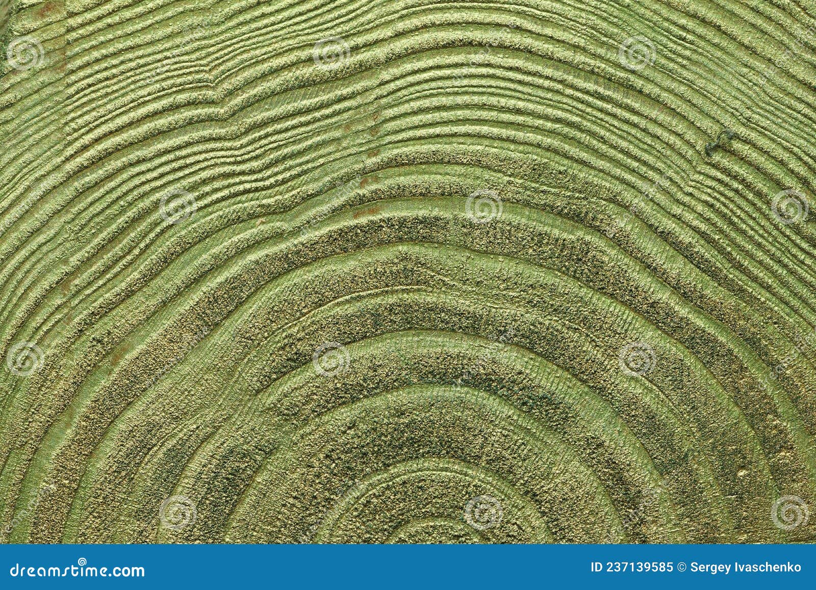 Painted tree. stock image. Image of timber, tree, grain - 237139585