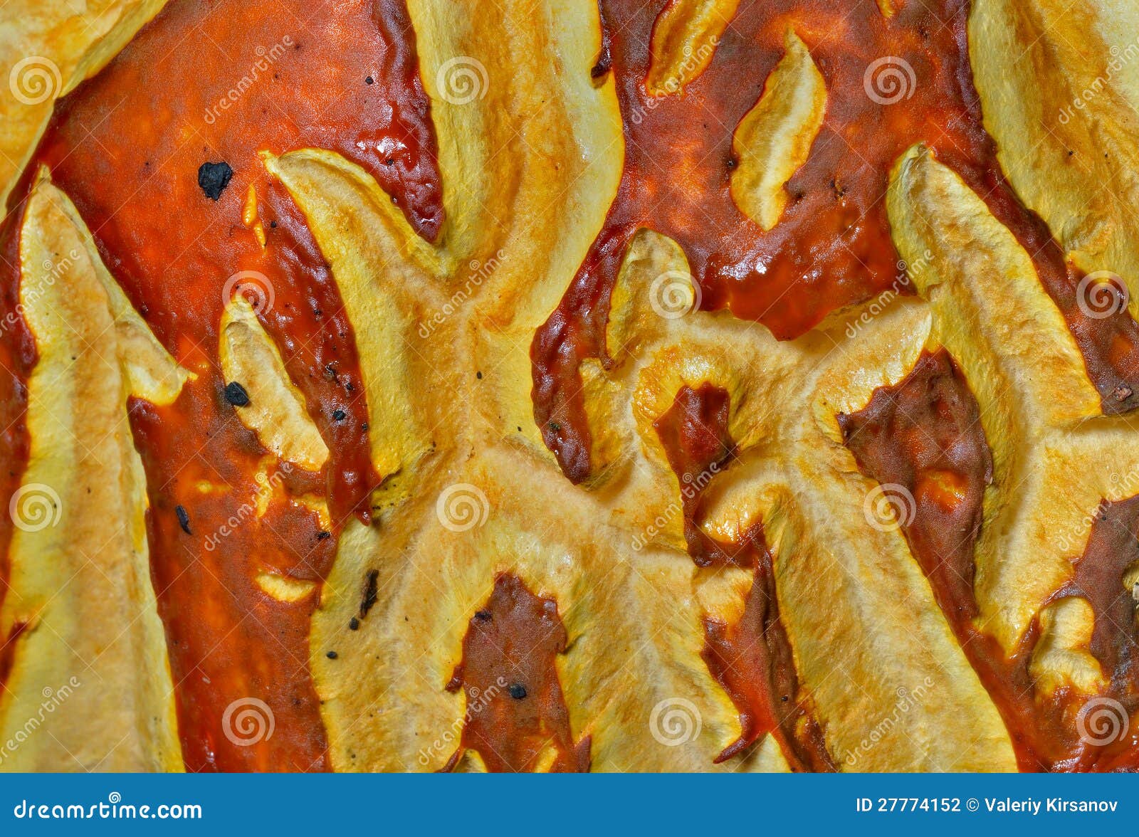 Texture of mushroom 4 stock photo. Image of close, rough - 27774152