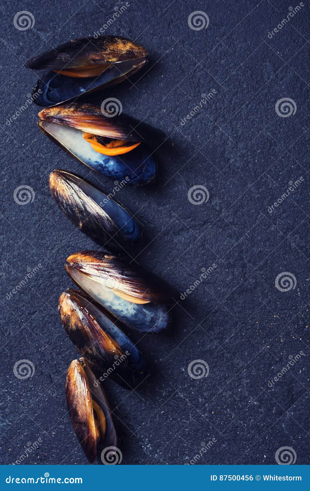 Texture of mussels stock photo. Image of mytilus, seafood - 87500456