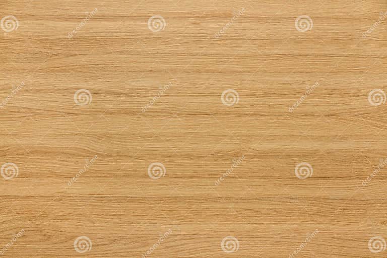 Texture of Natural Oak Wood Stock Photo - Image of panel, wooden: 24434438