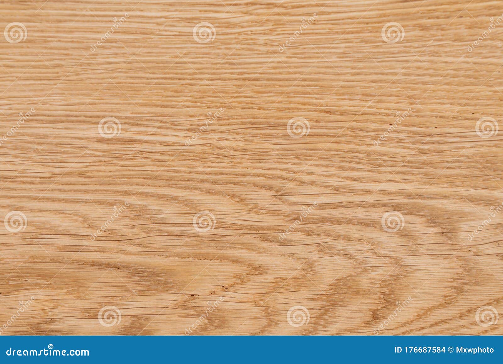 Texture of Natural Oak Wood Oiled and Polished Surface Stock Photo ...