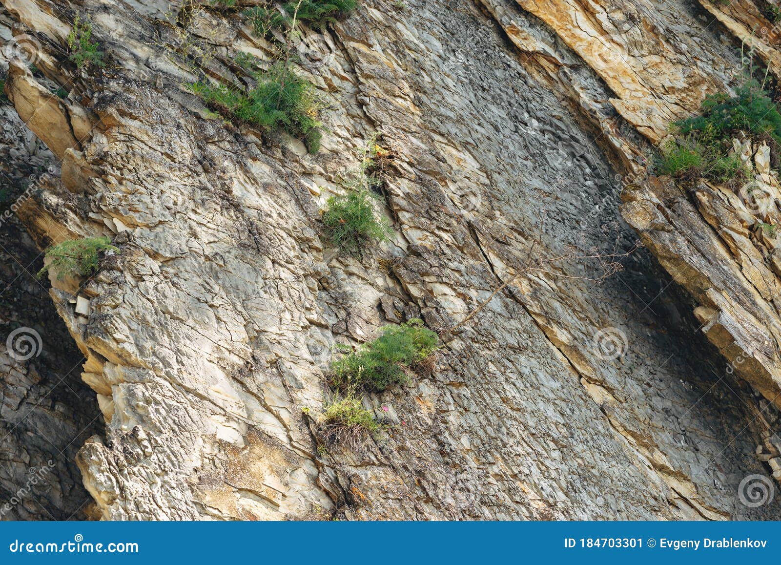 Texture of a Natural Slate Rock Background Stock Image - Image of ...