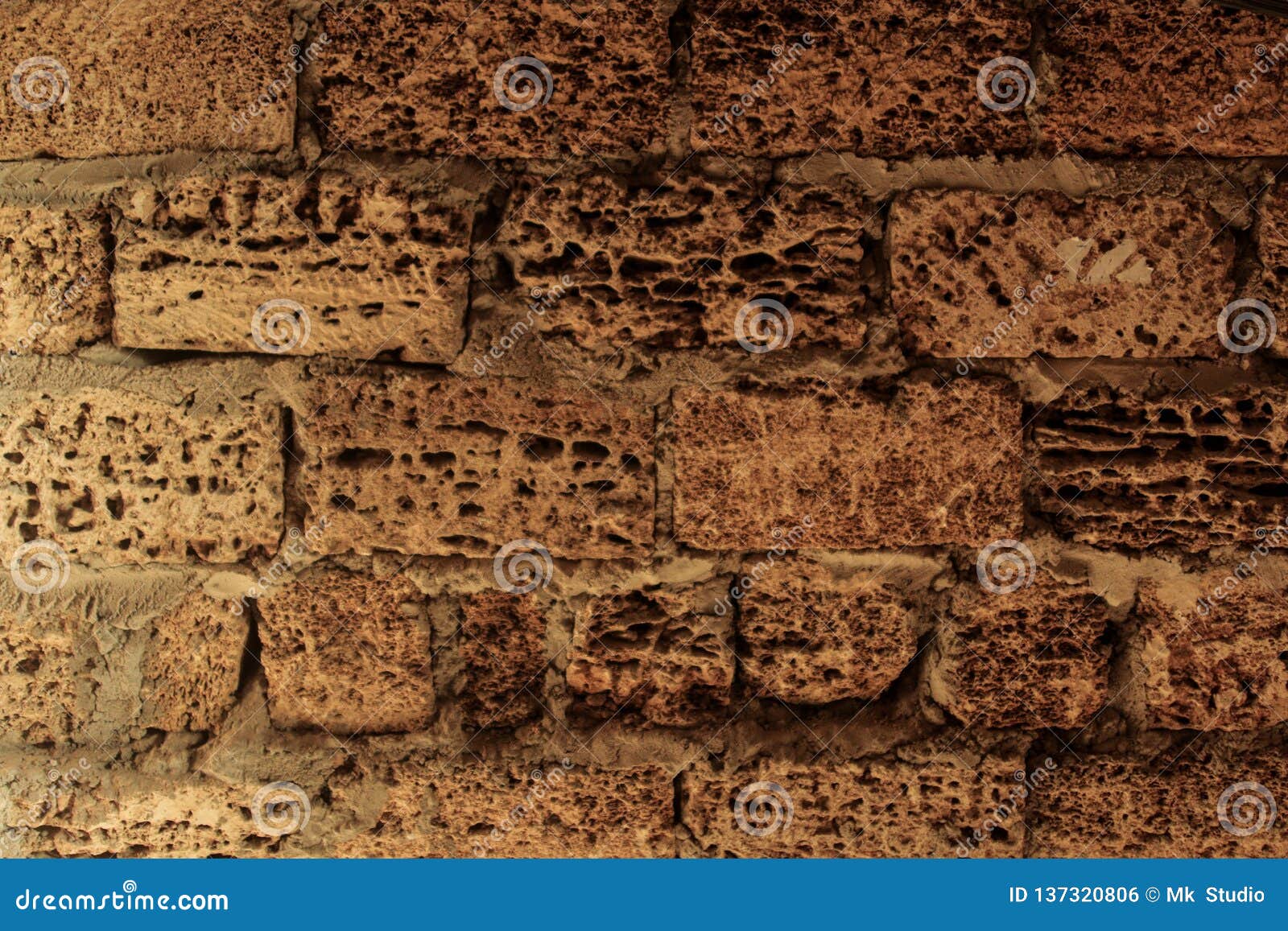 Texture of Natural Stone. Background of Shellstone Stone Stock Photo ...