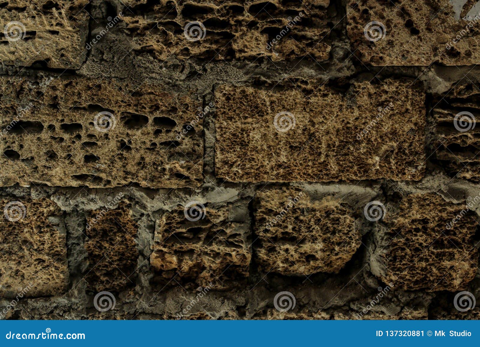 Texture of Natural Stone. Background of Shellstone Stone Stock Image ...