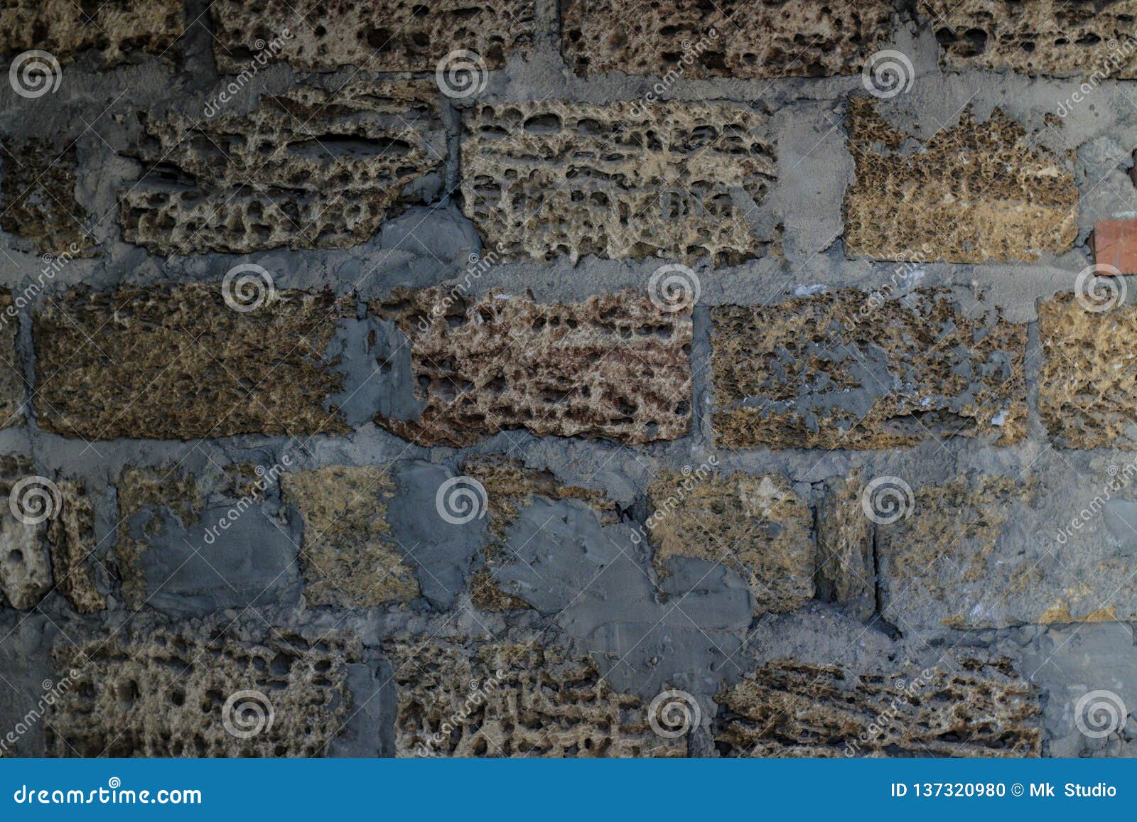 Texture of Natural Stone. Background of Shellstone Stone Stock Photo ...