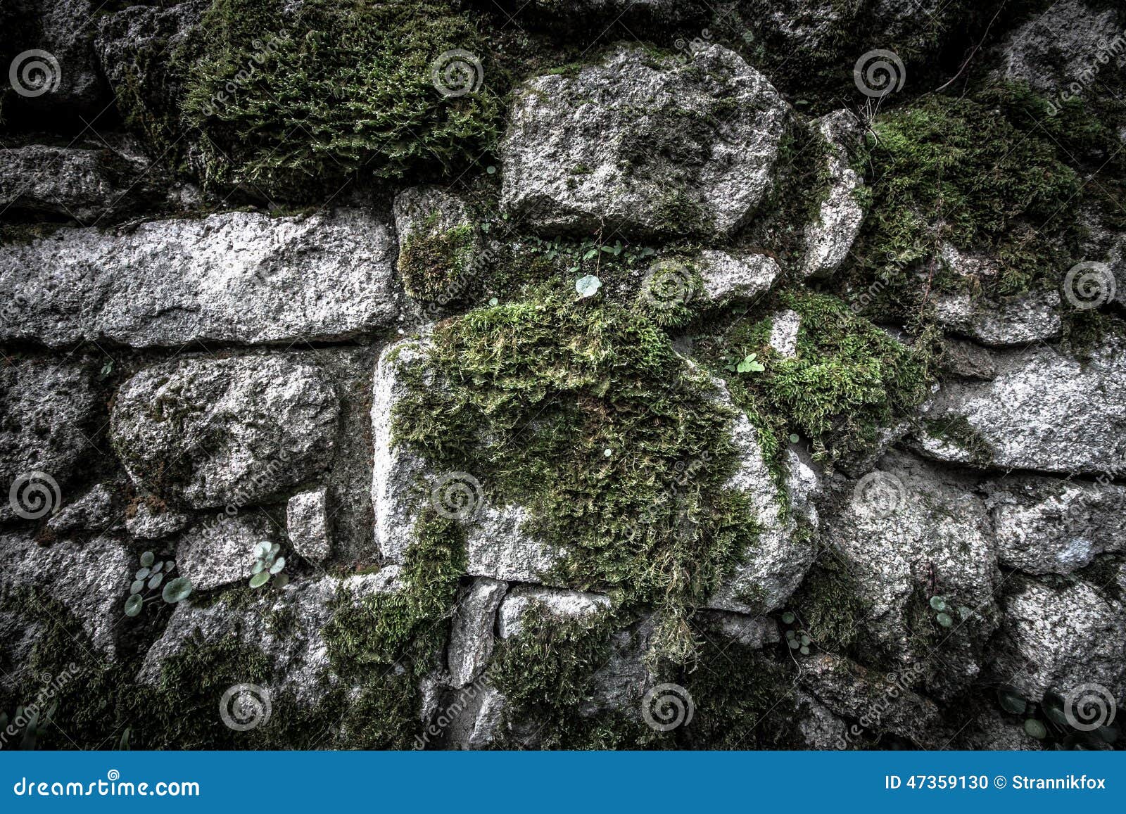 Texture of Natural Stone and Moss Stock Photo - Image of karelia ...